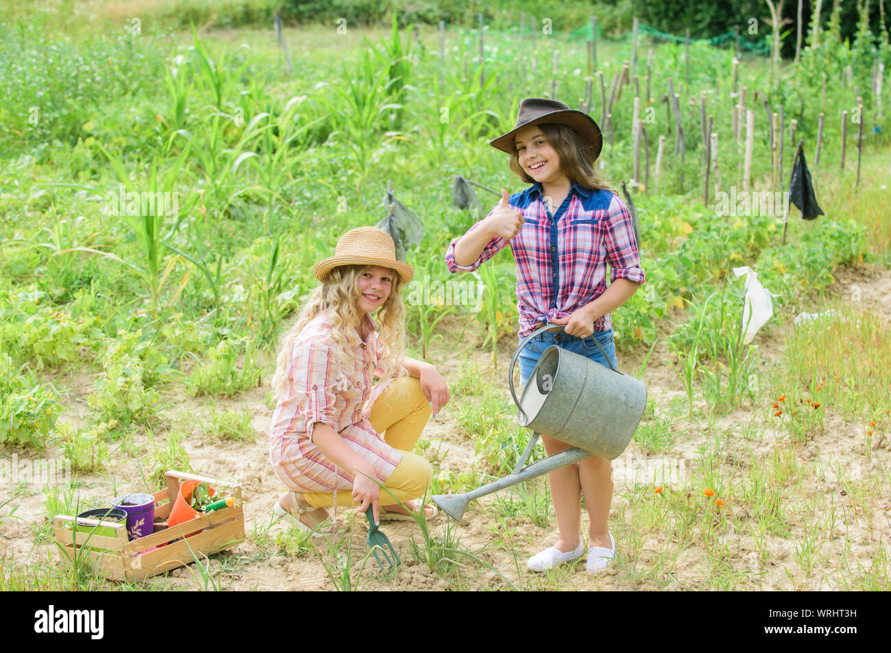 Children volunteer picking hi-res stock photography and images - Alamy