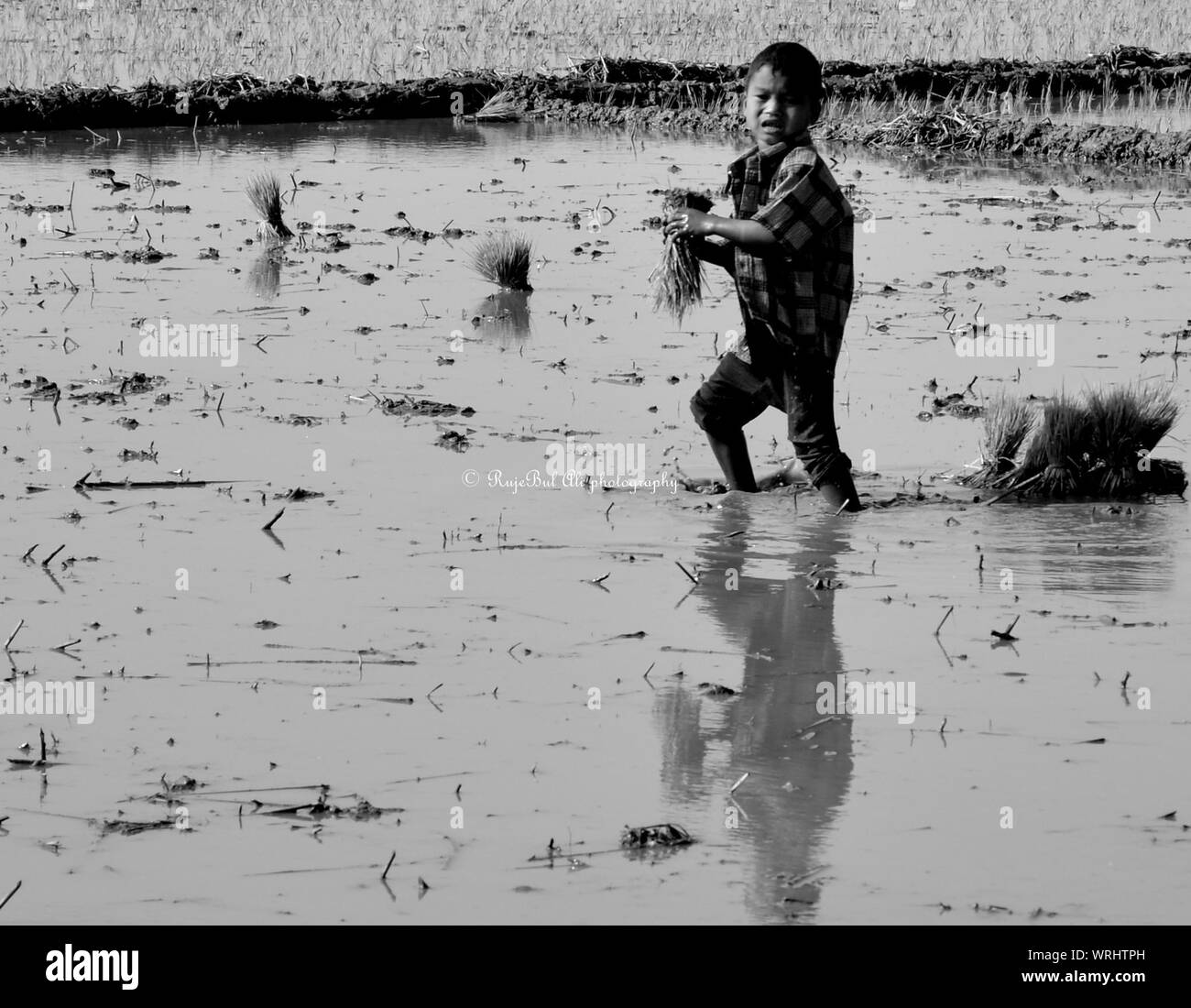 Asian boy working farm hi-res stock photography and images - Alamy