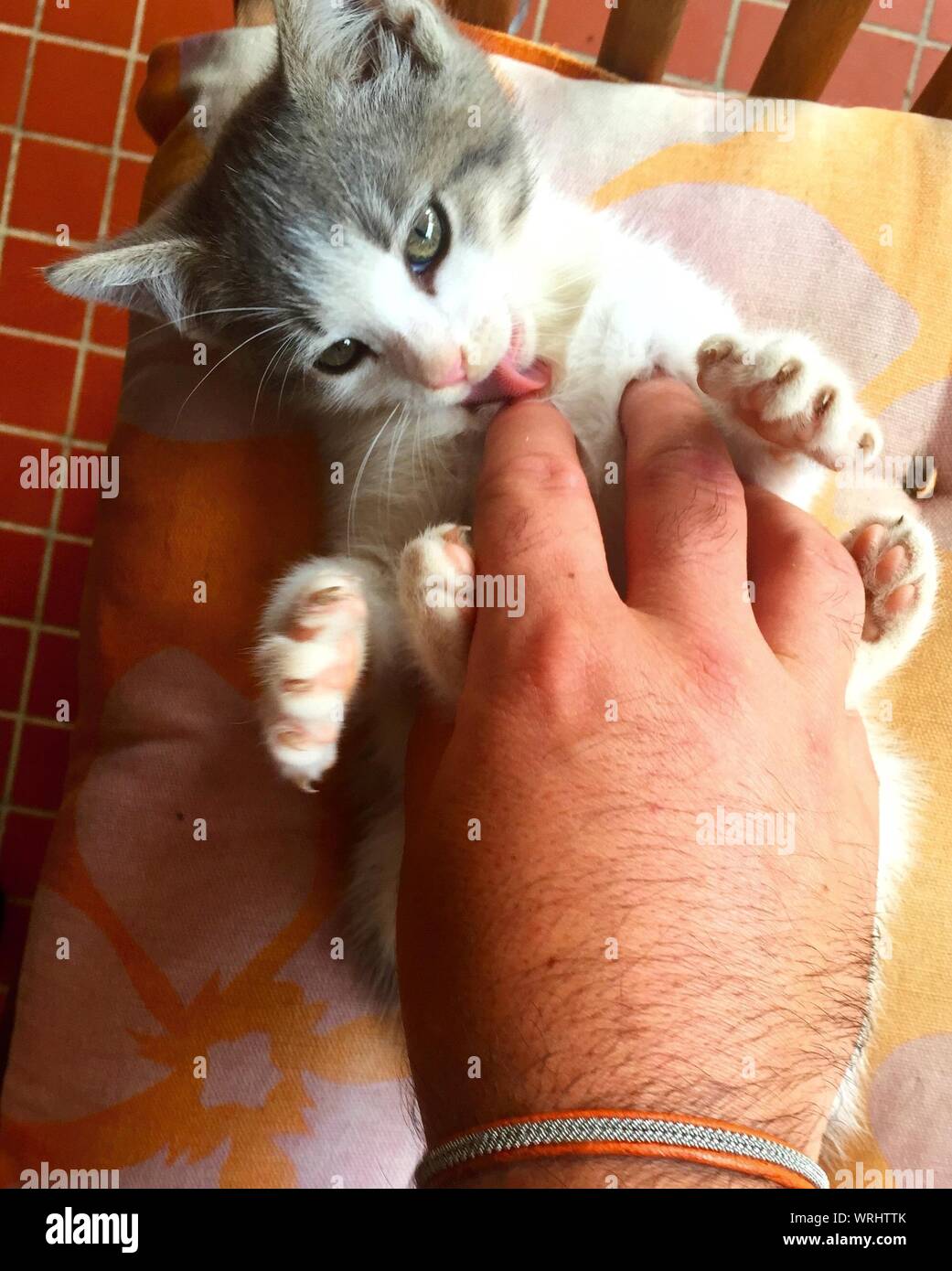 Man Licking Finger High Resolution Stock Photography and Images - Alamy