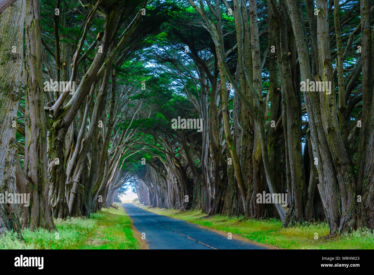 Canopy over road hi-res stock photography and images - Alamy