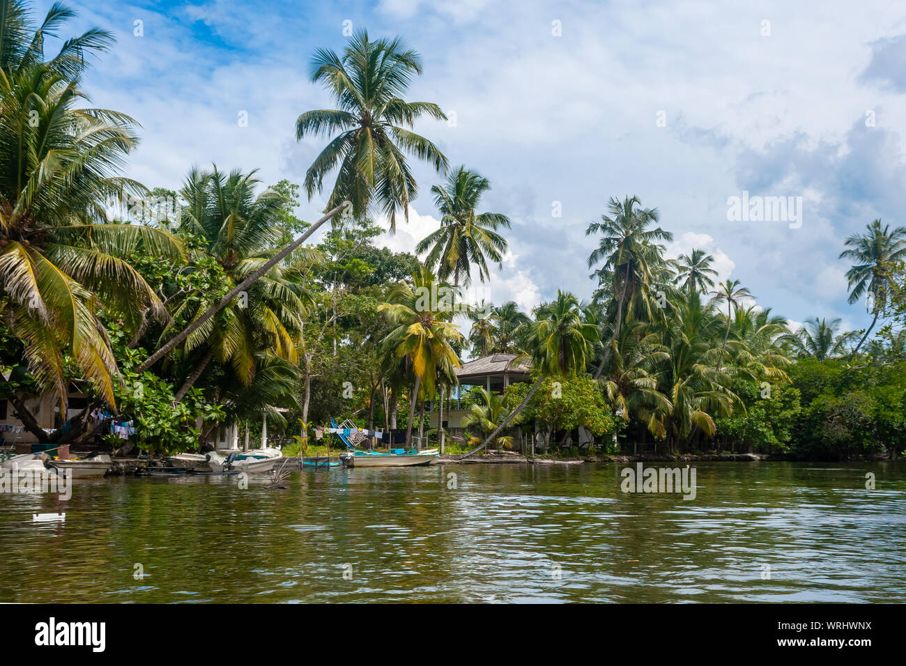 Balapitiya, Sri Lanka, Dec 05, 2018 Madu River Safari, beautiful ...
