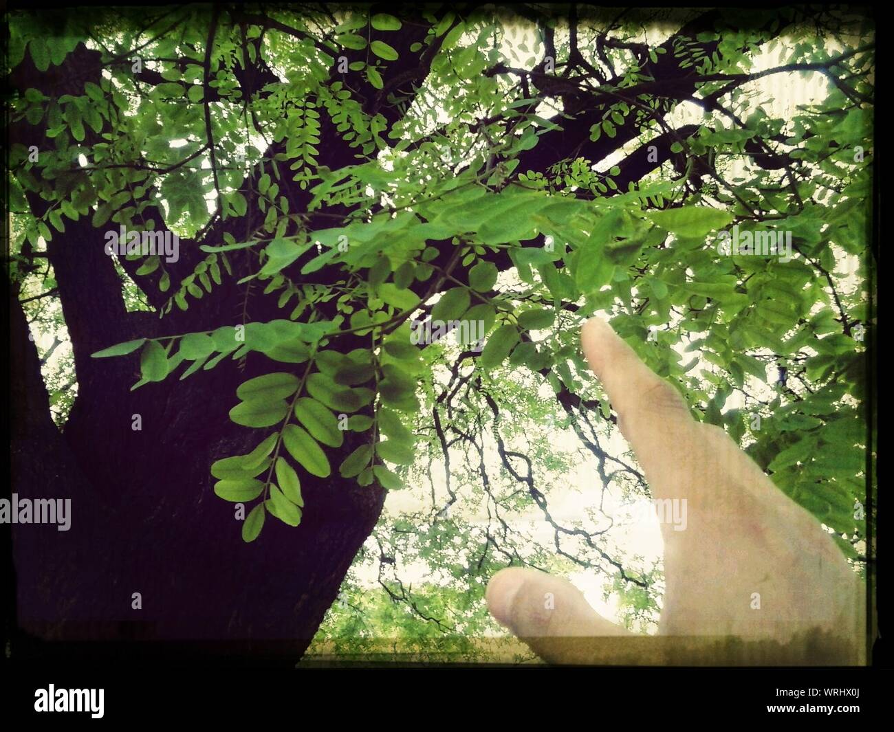 Pointing Fingers High Resolution Stock Photography and Images - Alamy