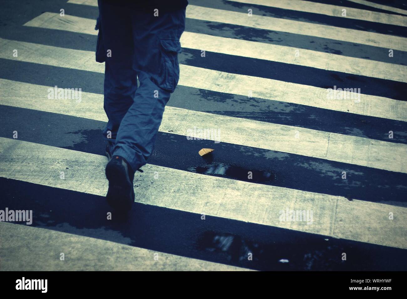 Man crossing zebra on hi-res stock photography and images - Alamy