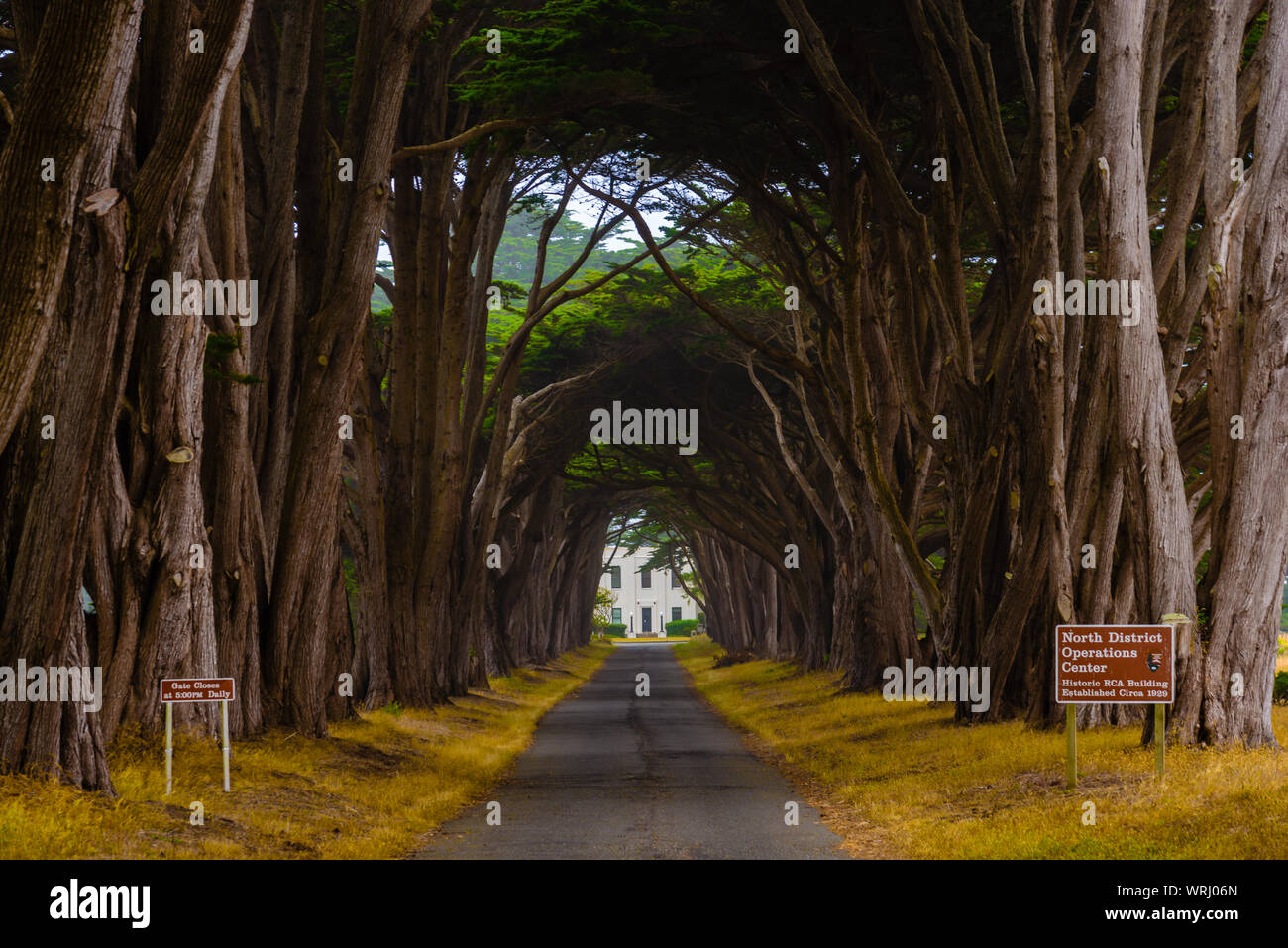 Canopy over road hi-res stock photography and images - Alamy