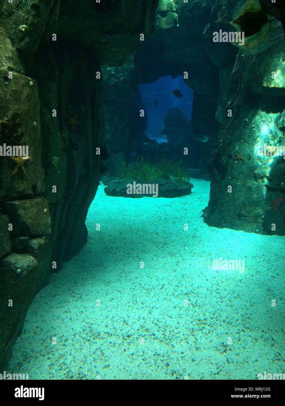 Undersea cave hi-res stock photography and images - Alamy