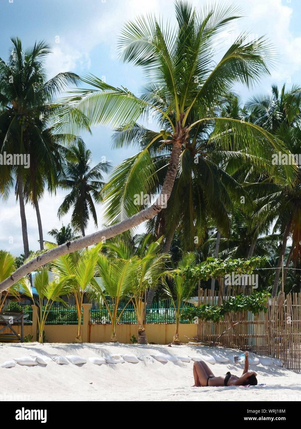 Woman Relaxing Under Tree High Resolution Stock Photography and Images ...
