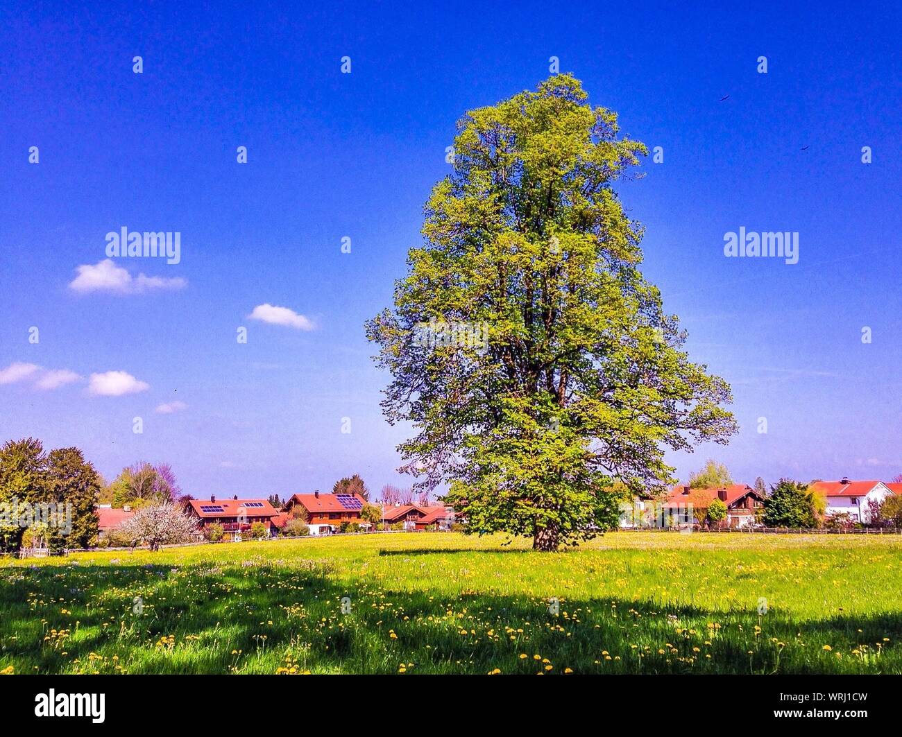 Suburban Background High Resolution Stock Photography and Images - Alamy