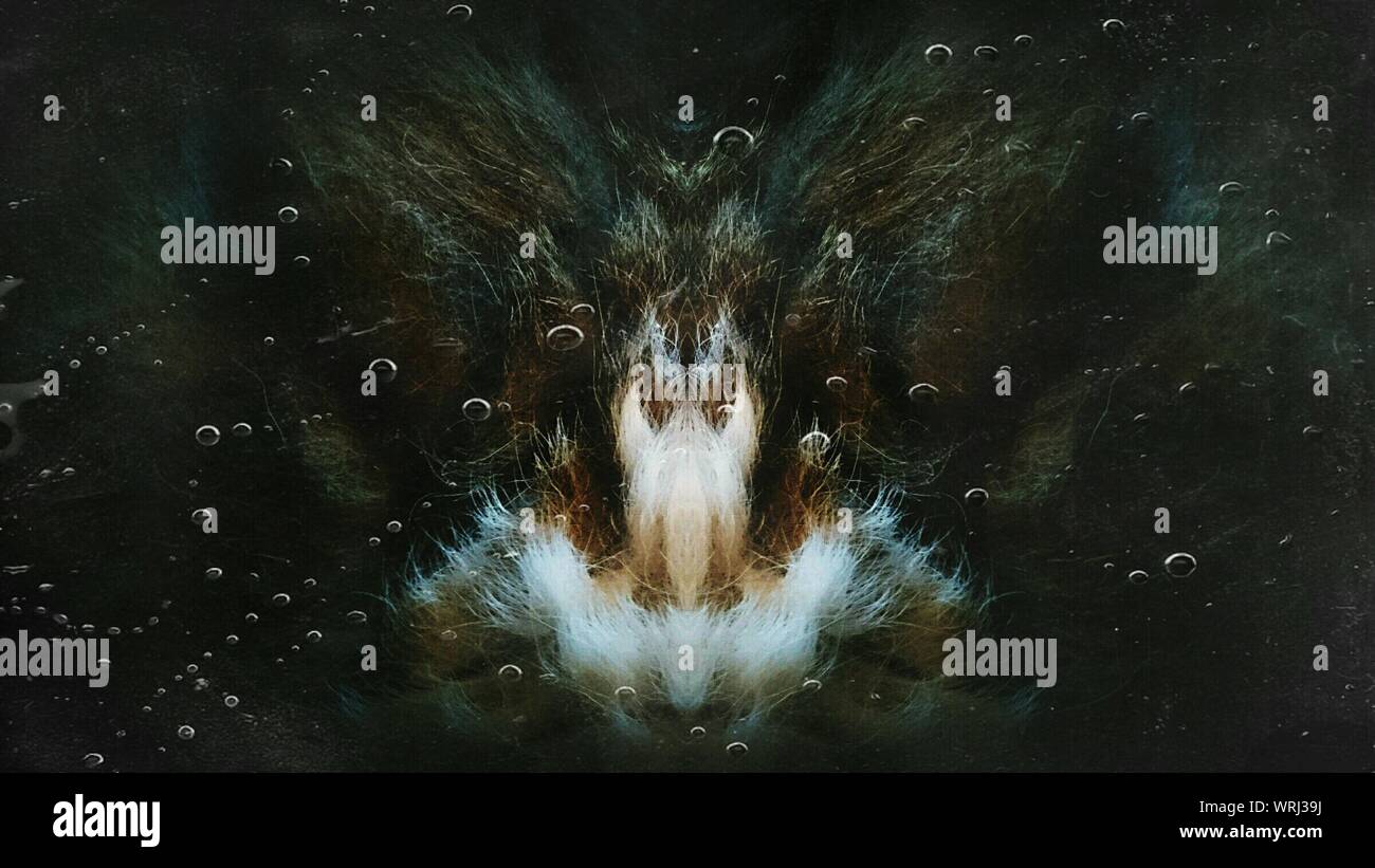 Digital Art Frame High Resolution Stock Photography and Images - Alamy