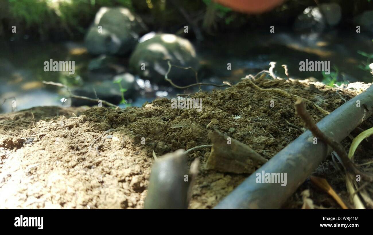 Messy field hi-res stock photography and images - Alamy