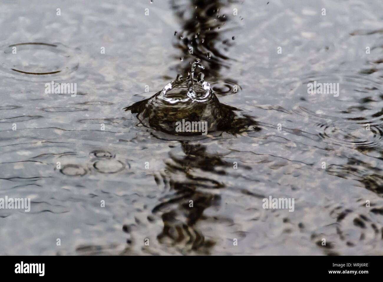 Drop Of Water Splashing In Pond Stock Photo - Alamy