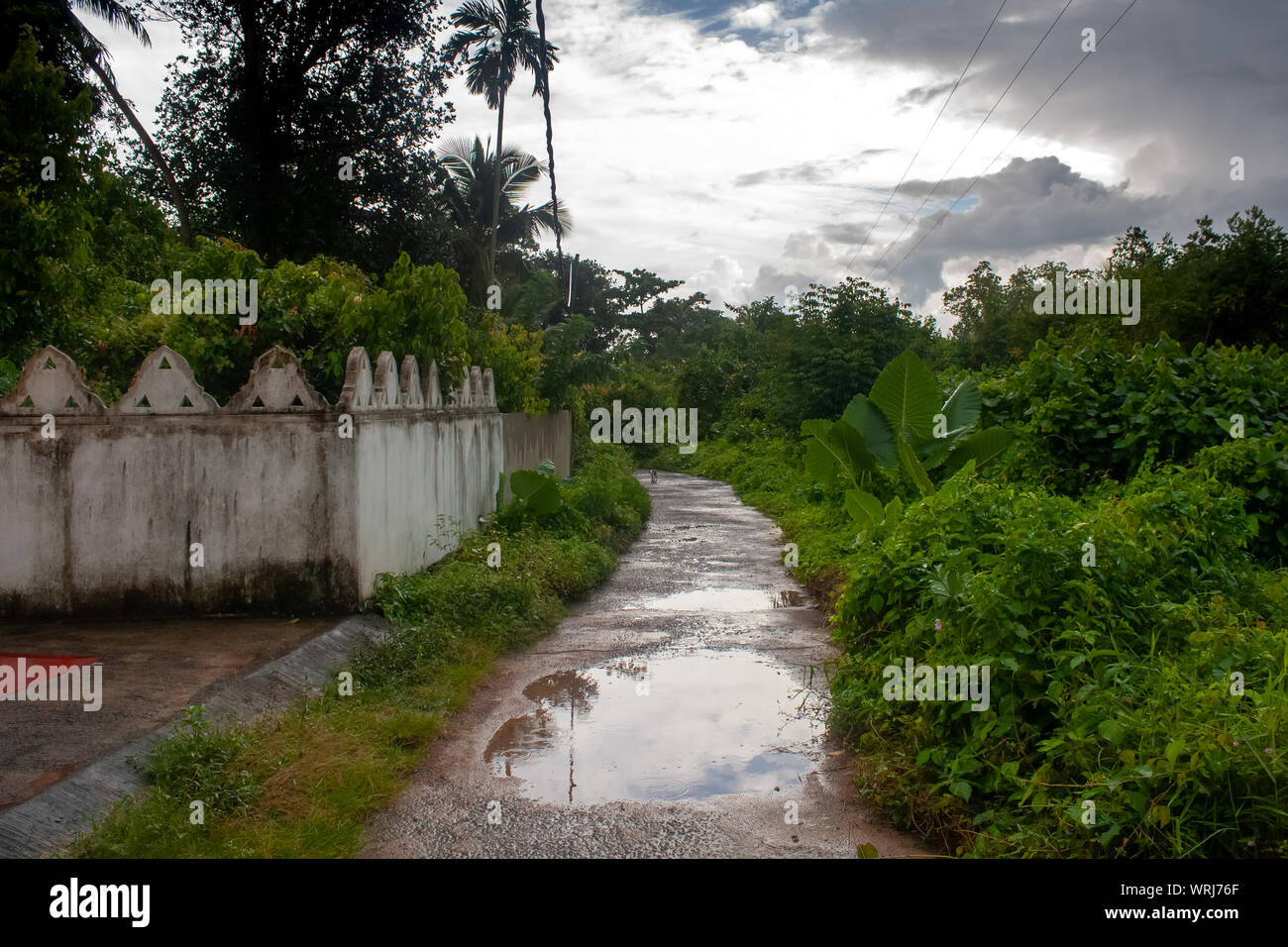 Heavy tropical monsoon rainfall hi-res stock photography and images - Alamy