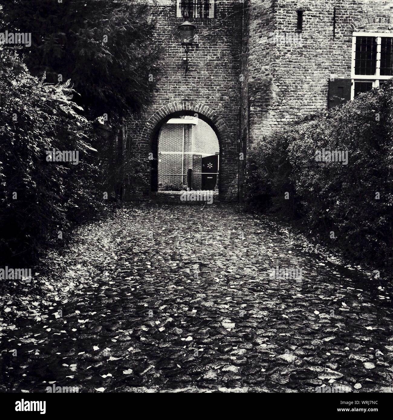 Brick arch with gate hi-res stock photography and images - Alamy