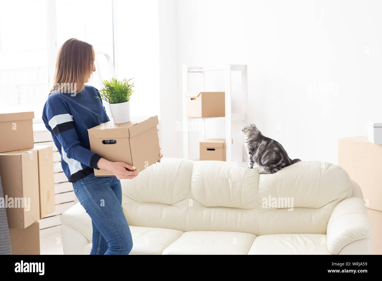 Charming young single woman holds a box with things while moving while ...