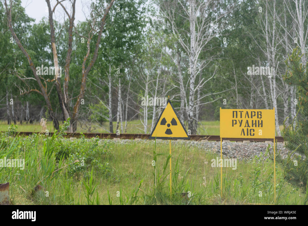Red forest ukraine chernobyl hi-res stock photography and images - Alamy