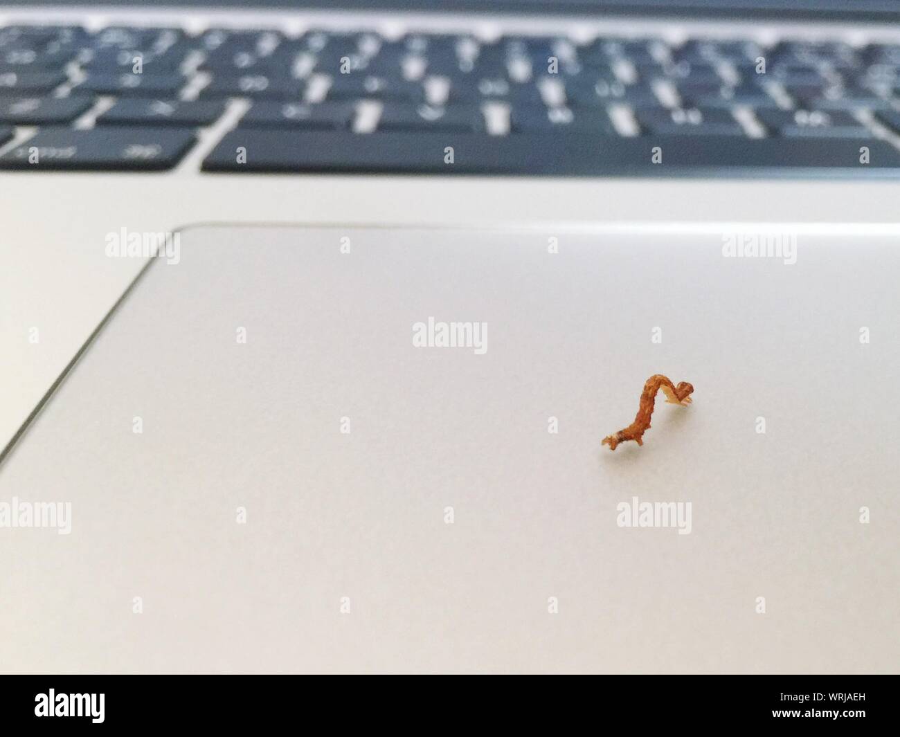 Caterpillar technology hi-res stock photography and images - Alamy