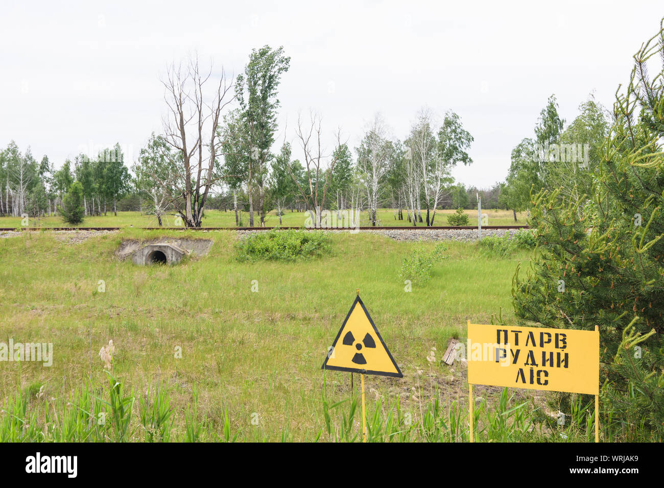 Red forest ukraine chernobyl hi-res stock photography and images - Alamy