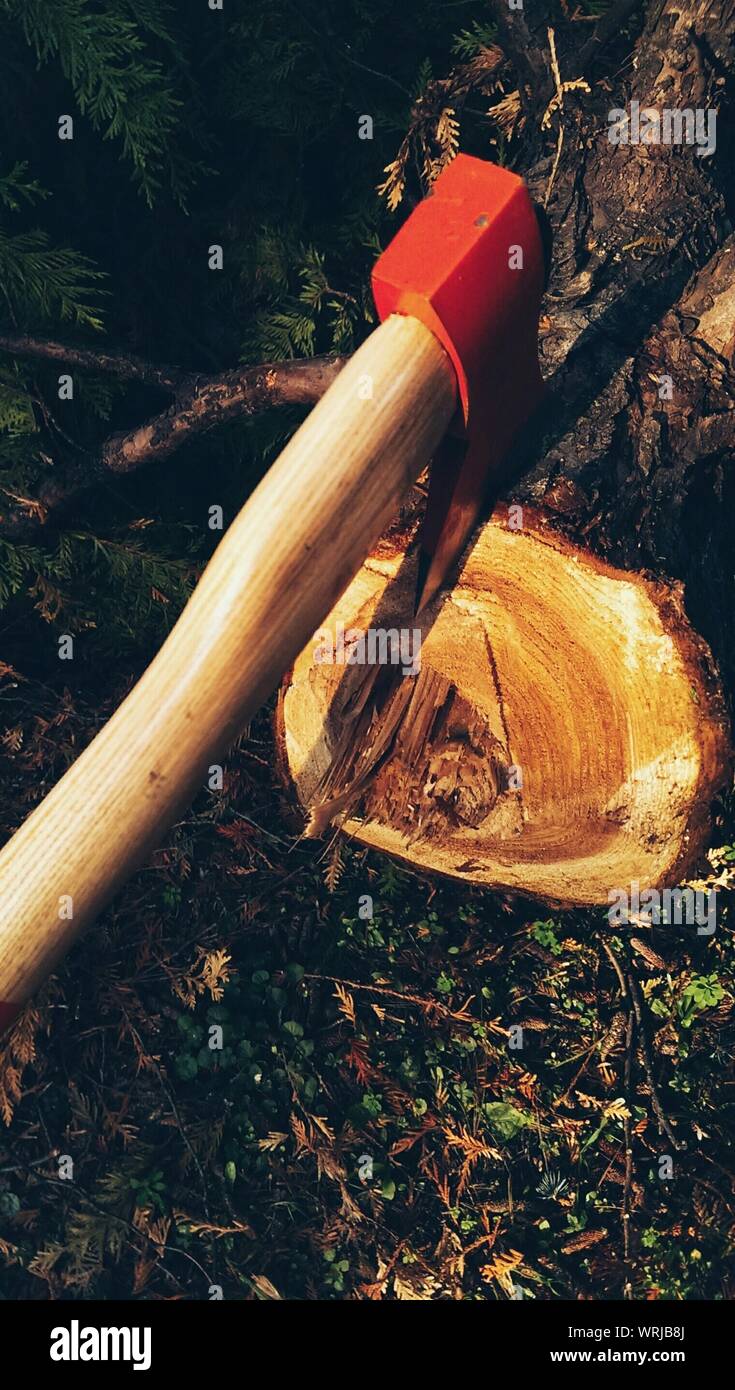 Cutting axe hi-res stock photography and images - Alamy