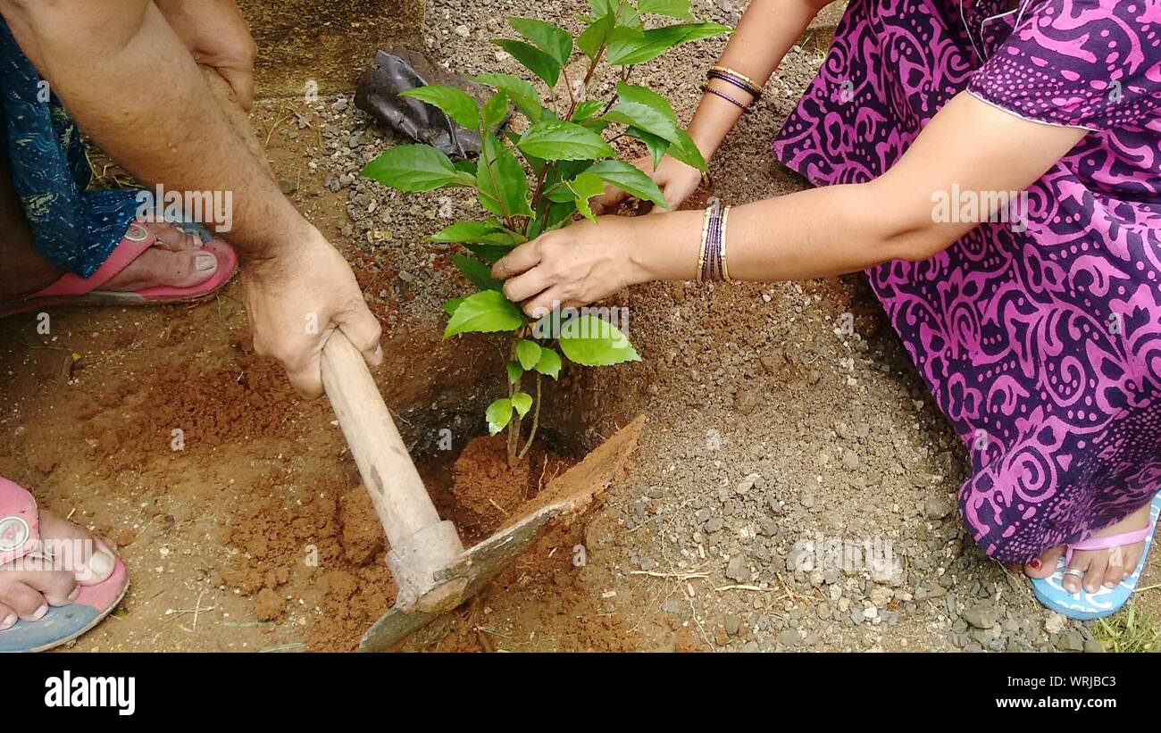 People planting hi-res stock photography and images - Alamy