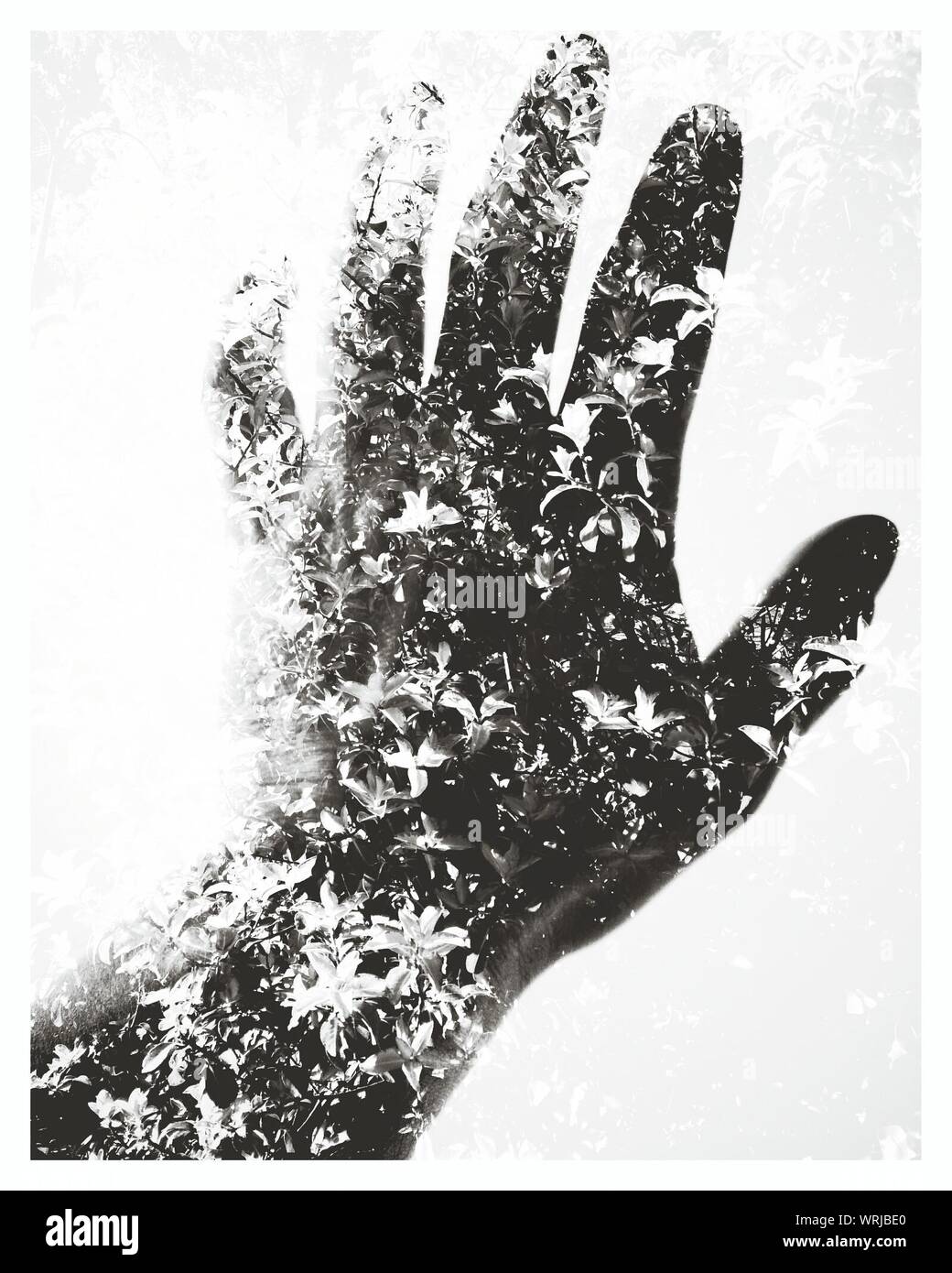 Hand nature Cut Out Stock Images & Pictures - Alamy