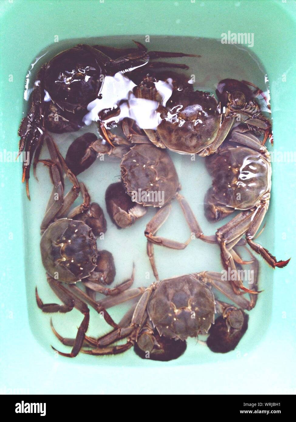 Water crabs hi-res stock photography and images - Alamy