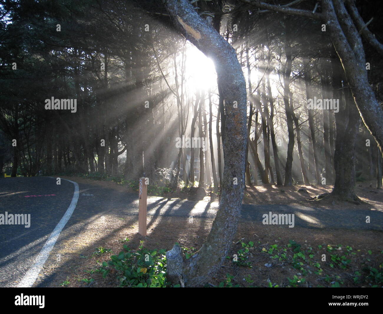 Strong sun beams hi-res stock photography and images - Alamy