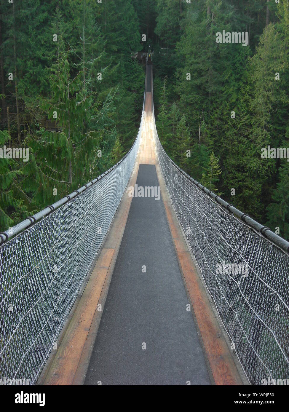 Suspension bridge forest hi-res stock photography and images - Alamy