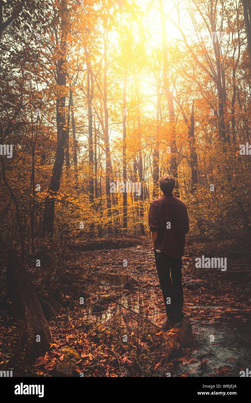 Silhouette man standing in forest hi-res stock photography and images ...