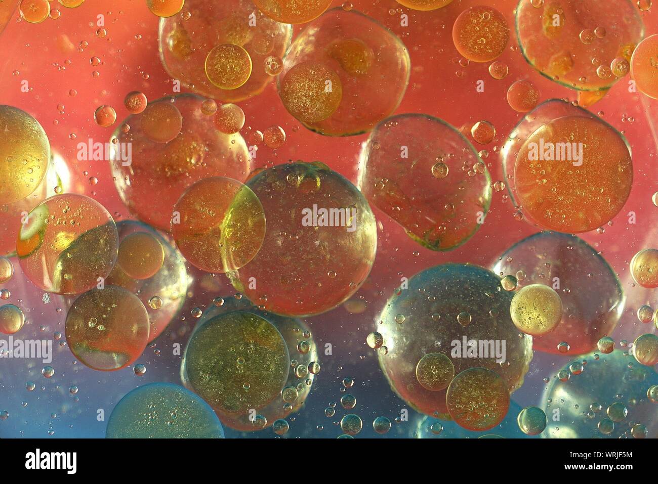 Blue oil bubbles hi-res stock photography and images - Alamy