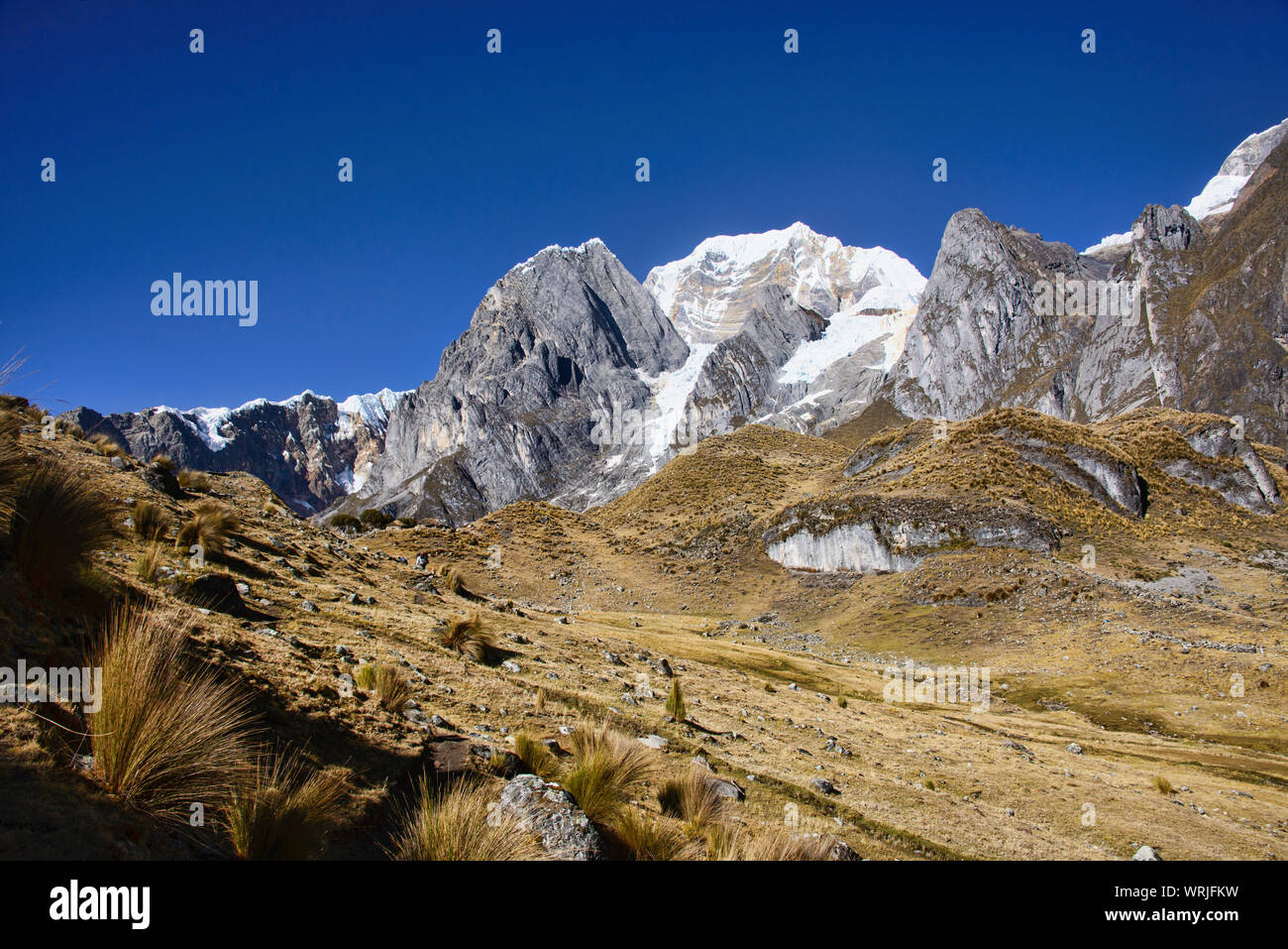 Sceneries at the Laguna Carhuacocha, Cordillera Huayhuash, Ancash, Peru ...