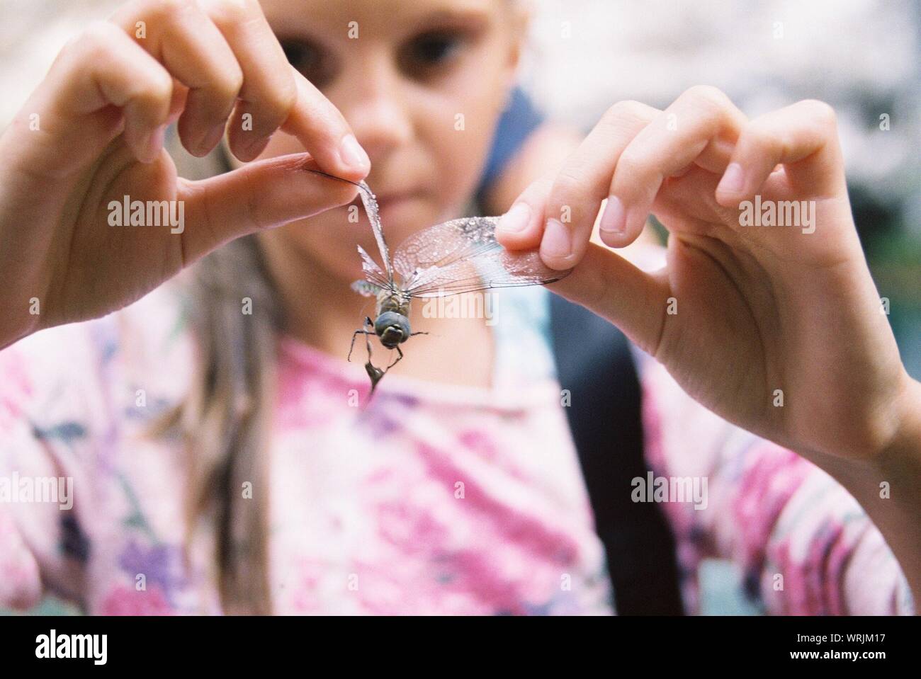 Child holding insect hi-res stock photography and images - Alamy