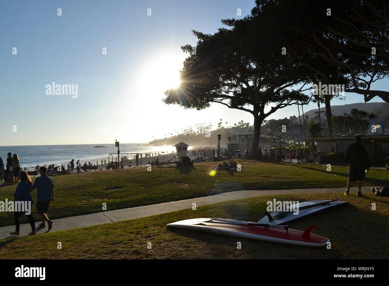 Field and beach hi-res stock photography and images - Alamy
