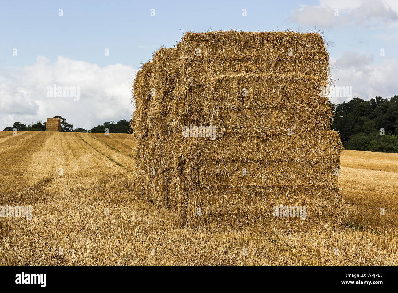 Rectangular bales of hay hi-res stock photography and images - Alamy