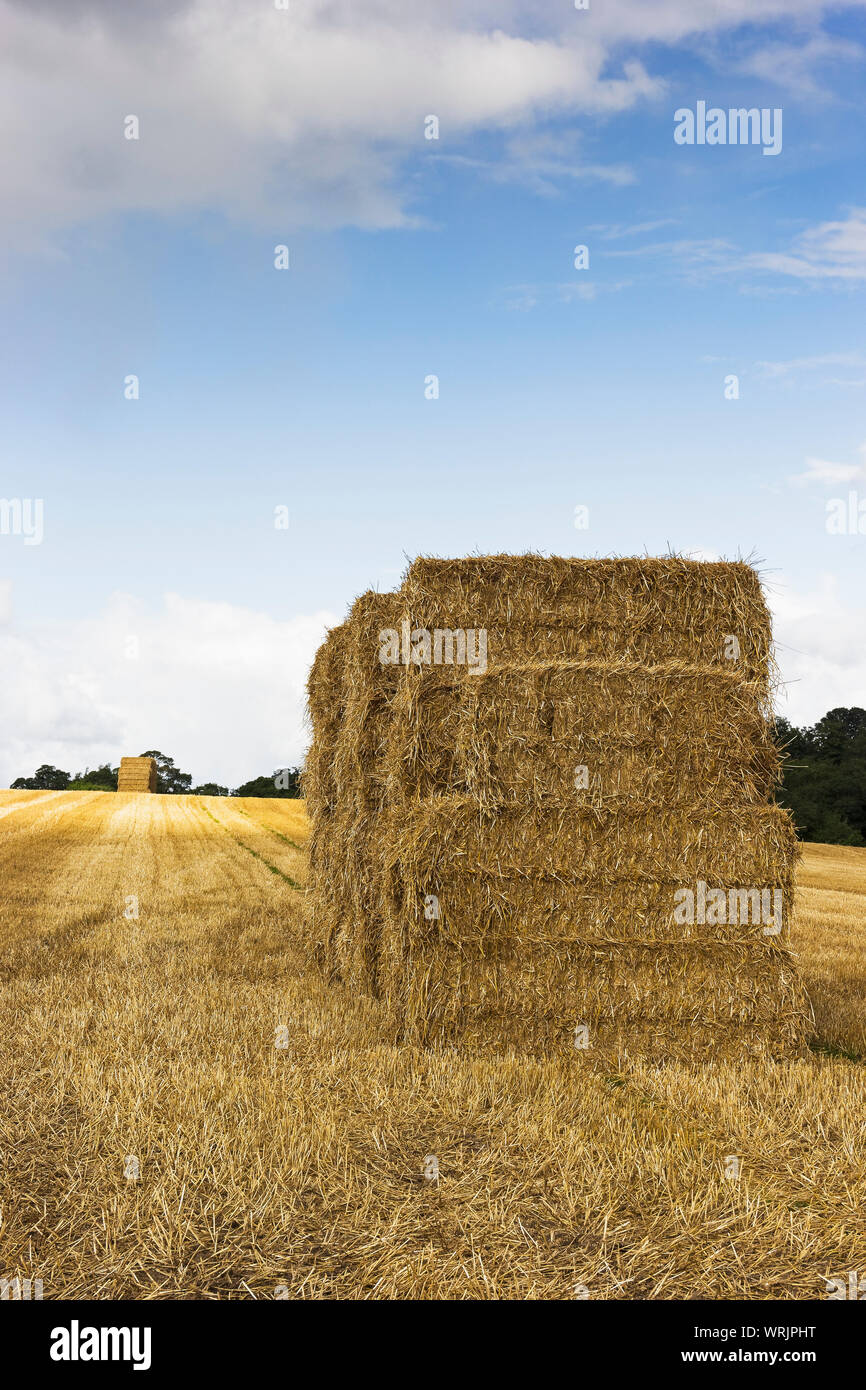 Rectangular bales of hay hi-res stock photography and images - Alamy