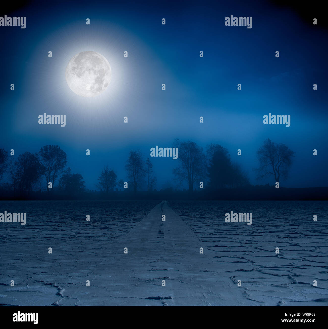 Moon over a foggy treeline and a cracked earth road Stock Photo - Alamy