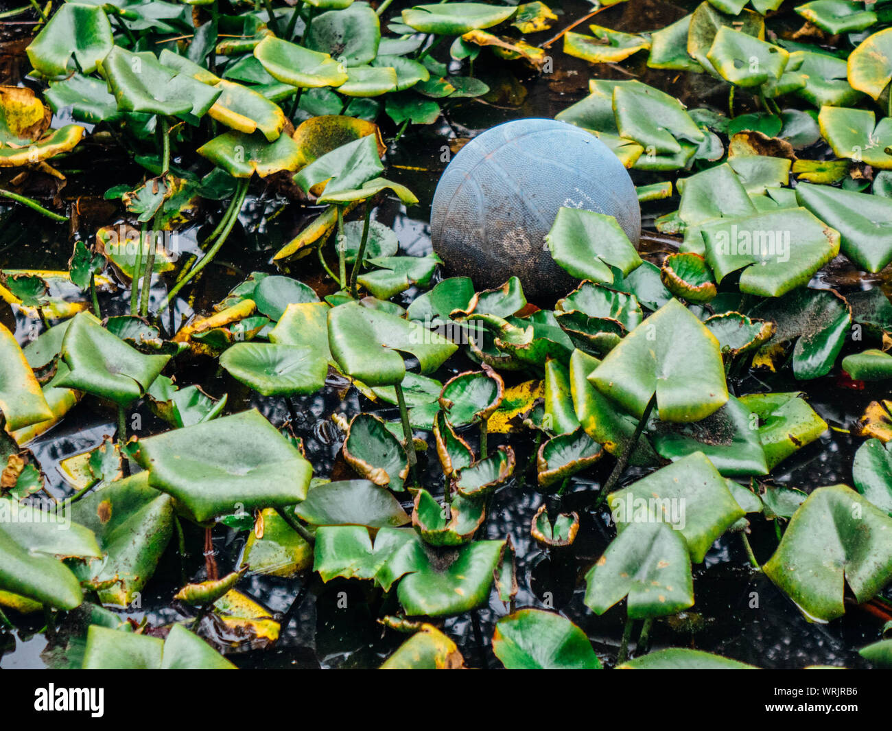 Ball pond hi-res stock photography and images - Alamy