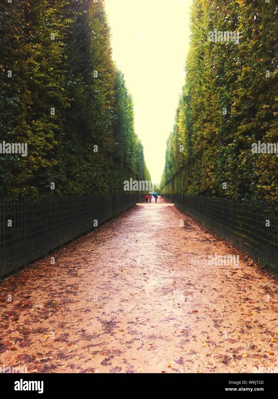 Road Maze High Resolution Stock Photography and Images - Alamy