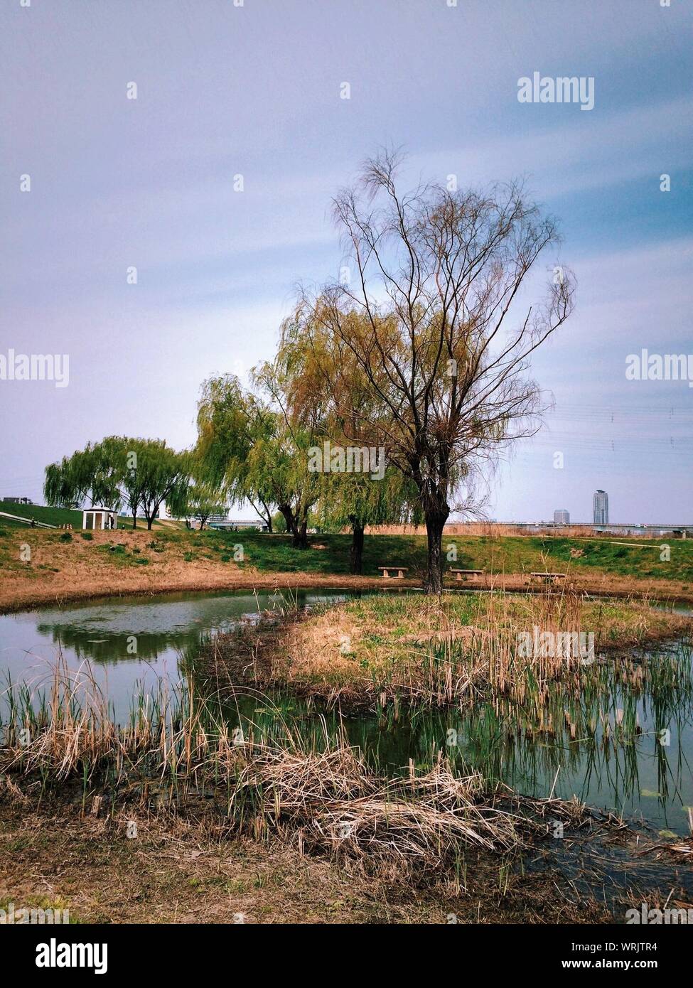 Marsh landscape hi-res stock photography and images - Alamy