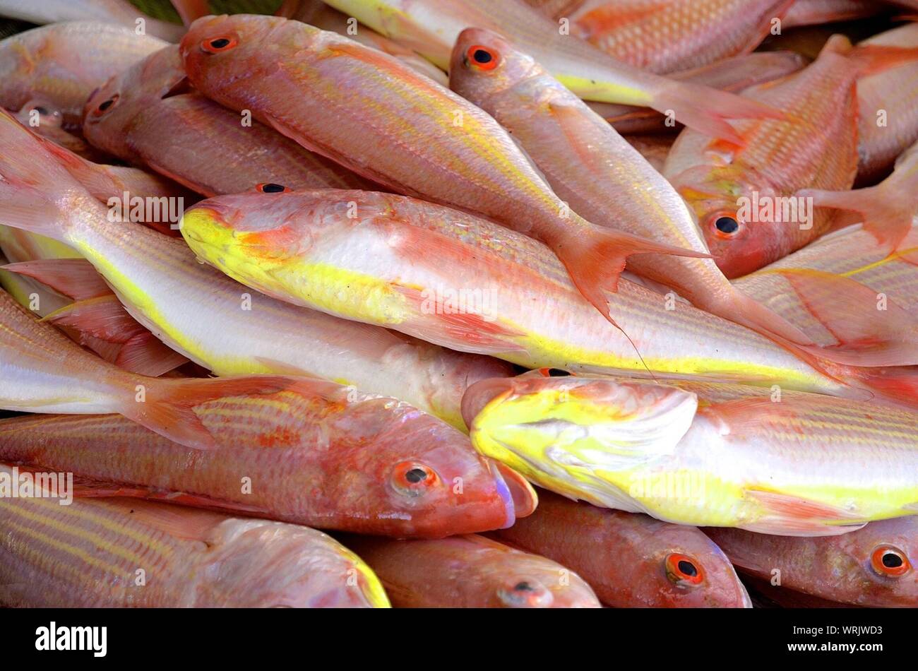 Fish market red snapper hi-res stock photography and images - Alamy