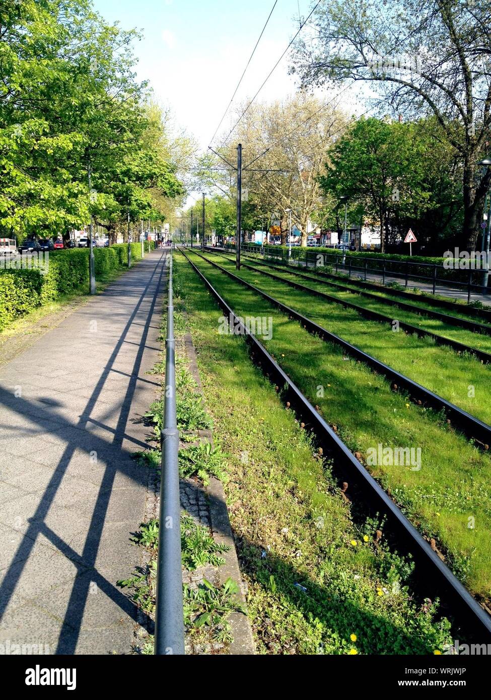 Bush tracks hi-res stock photography and images - Alamy