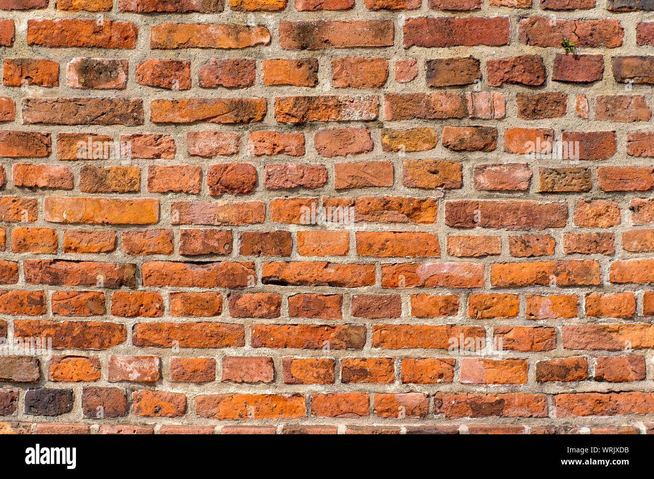 Old multi-colored brick wall. Natural background for designers Stock ...