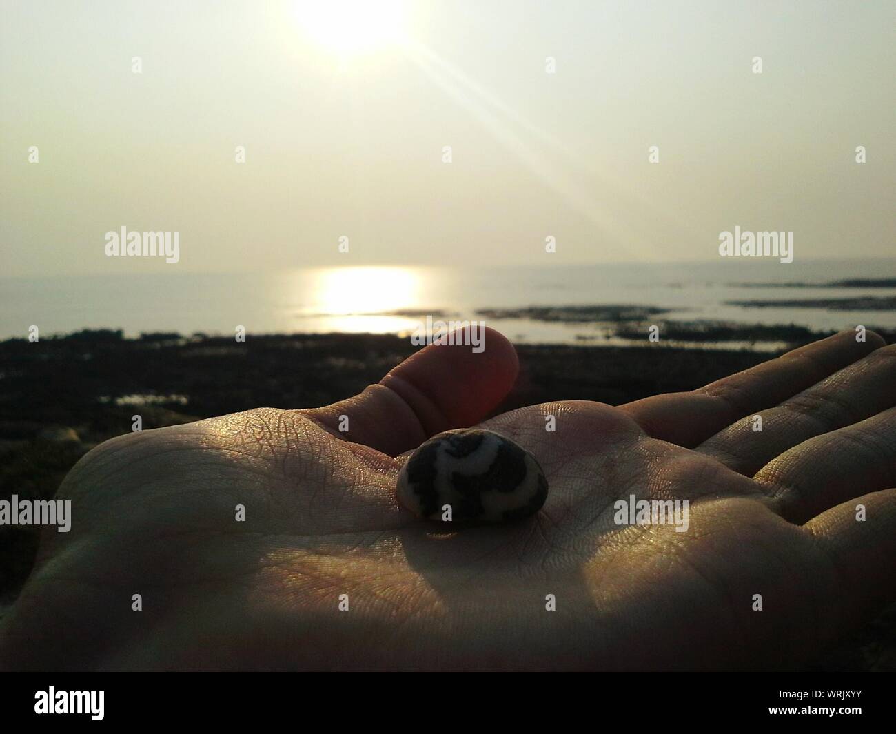 Pebble in hand beach hi-res stock photography and images - Alamy
