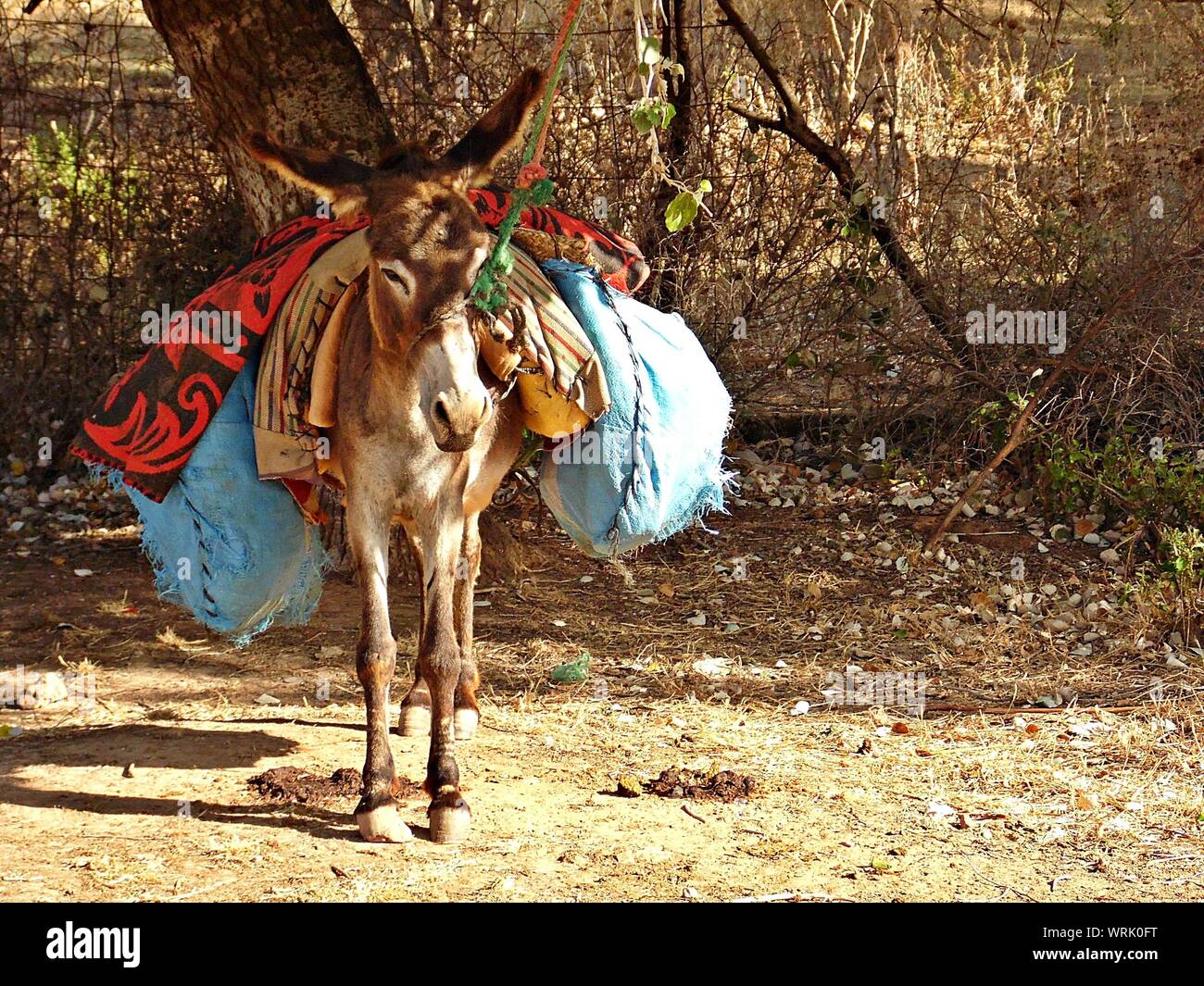 Load loading loads hi-res stock photography and images - Alamy