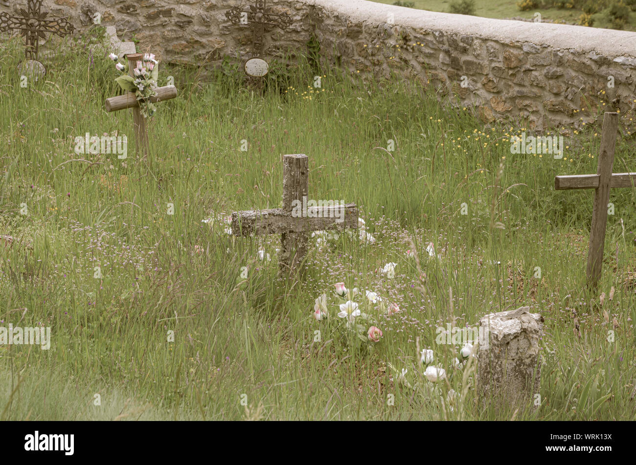 Crosses between the grass of a poor village cemetery Stock Photo - Alamy