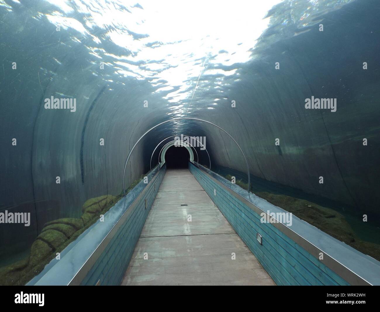 Water Tunnel High Resolution Stock Photography and Images - Alamy