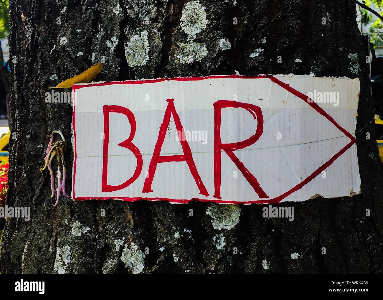 Bar tree hi-res stock photography and images - Alamy