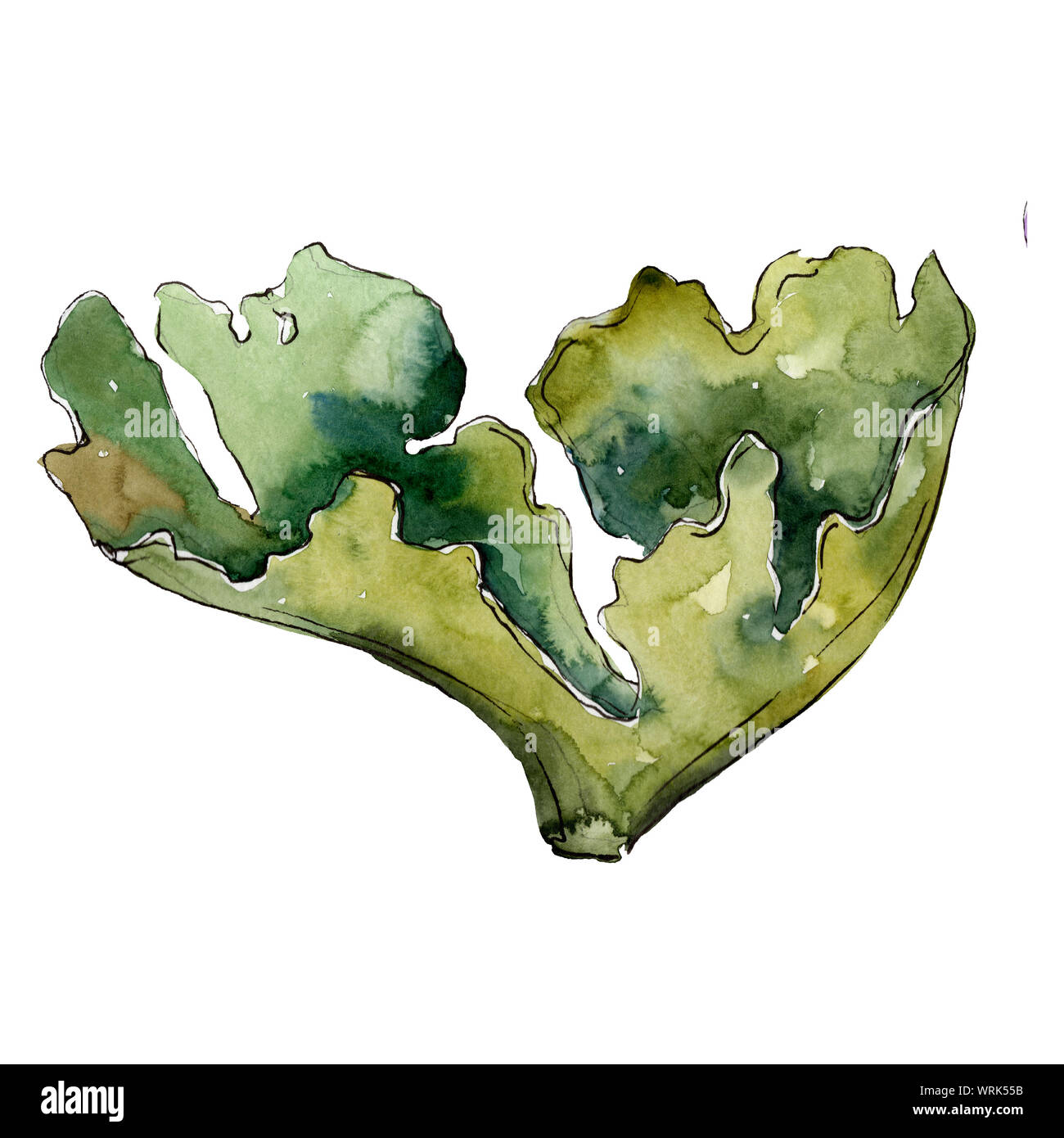Green aquatic underwater nature coral reef. Watercolor background ...