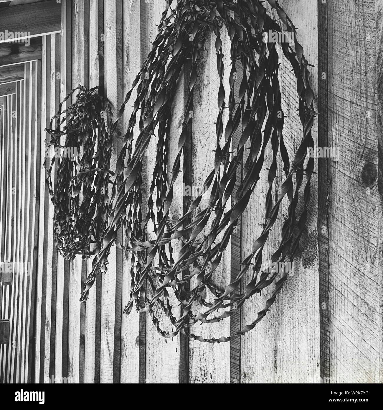 Building and barbed wire hi-res stock photography and images - Alamy