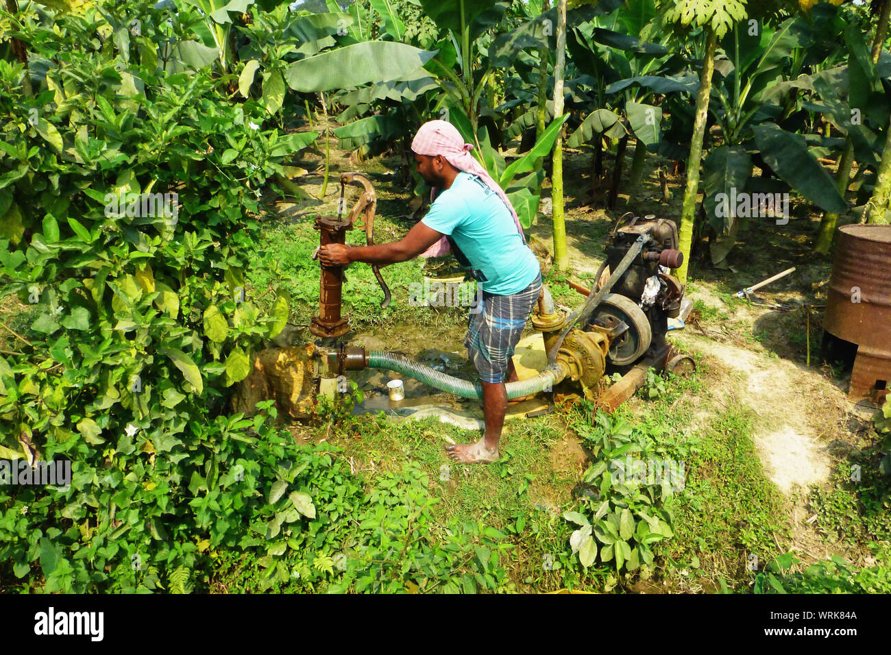 Indian farmer water pump Stock Photo - Alamy