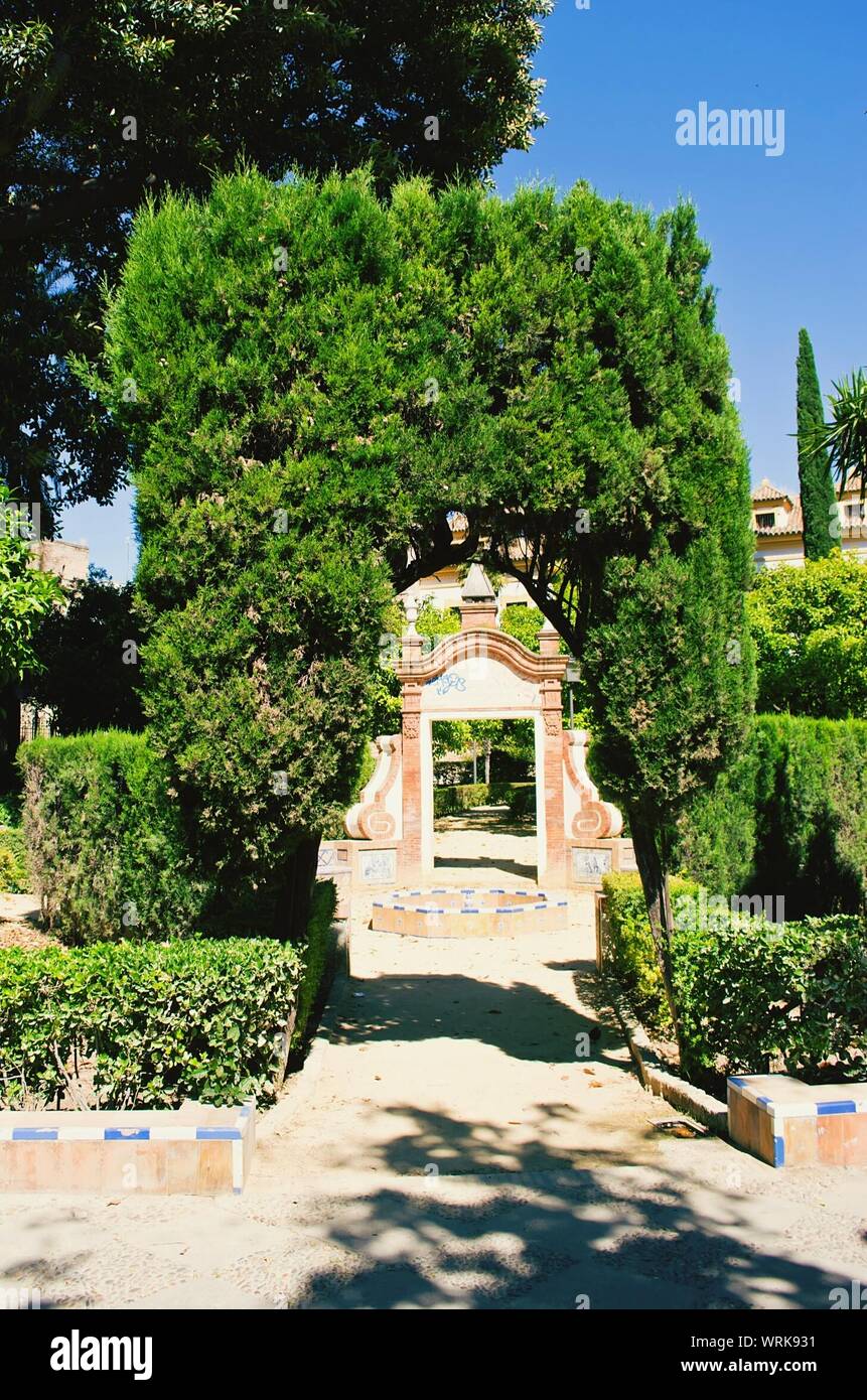 Tree Archway High Resolution Stock Photography and Images - Alamy
