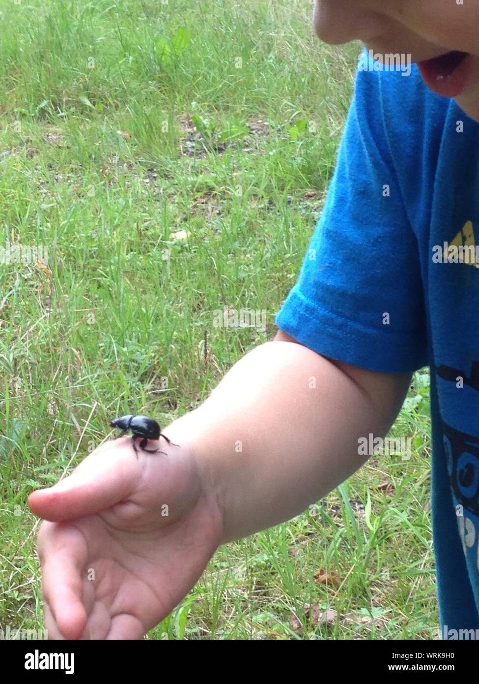 Beetle boy hi-res stock photography and images - Alamy